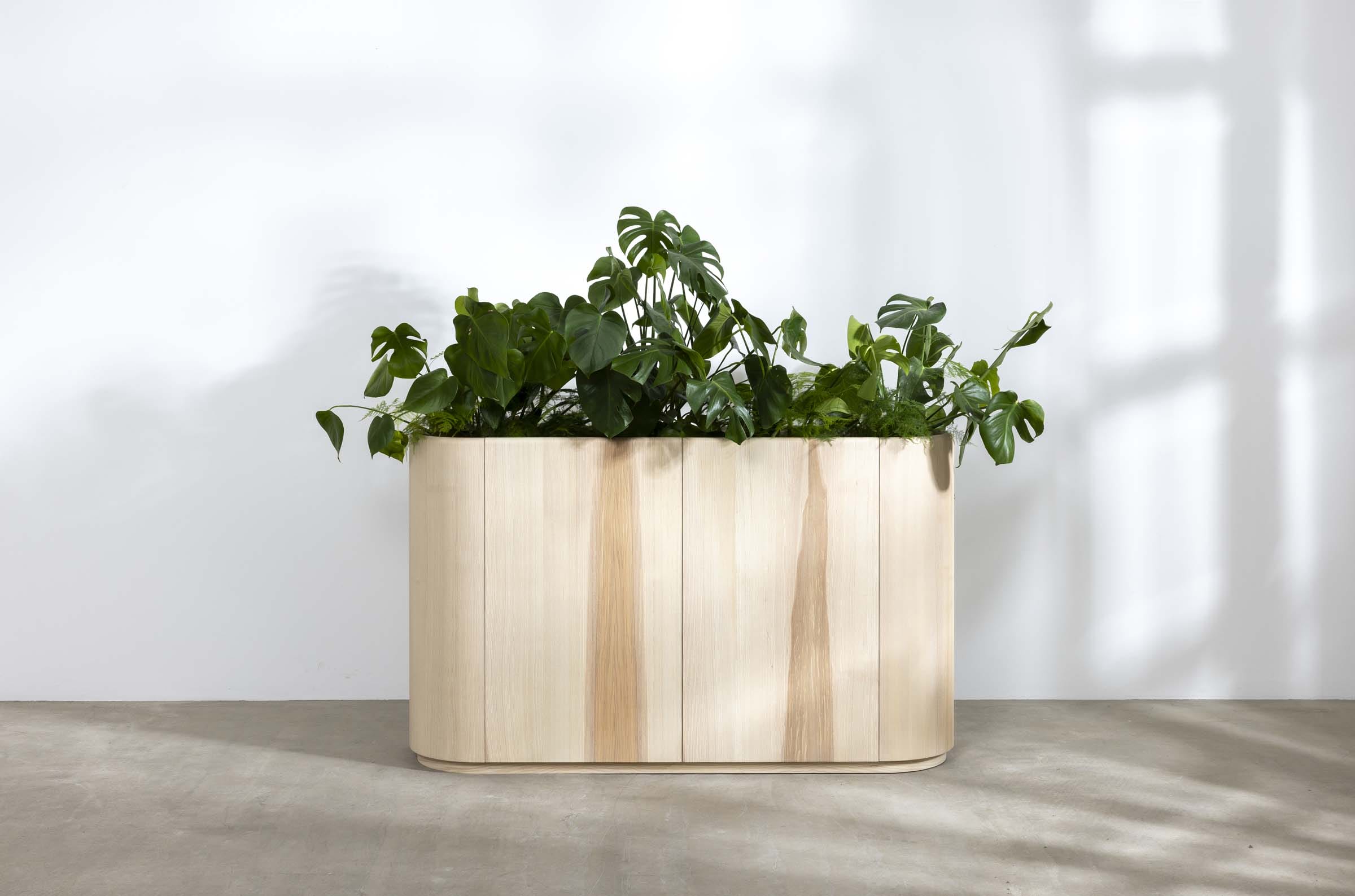 AYA Planter - Benchmark